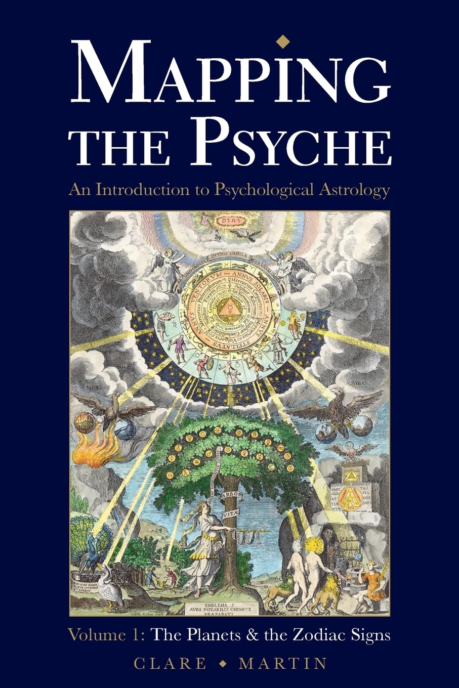 Book Summary: Mapping the Psyche - Nyxastro